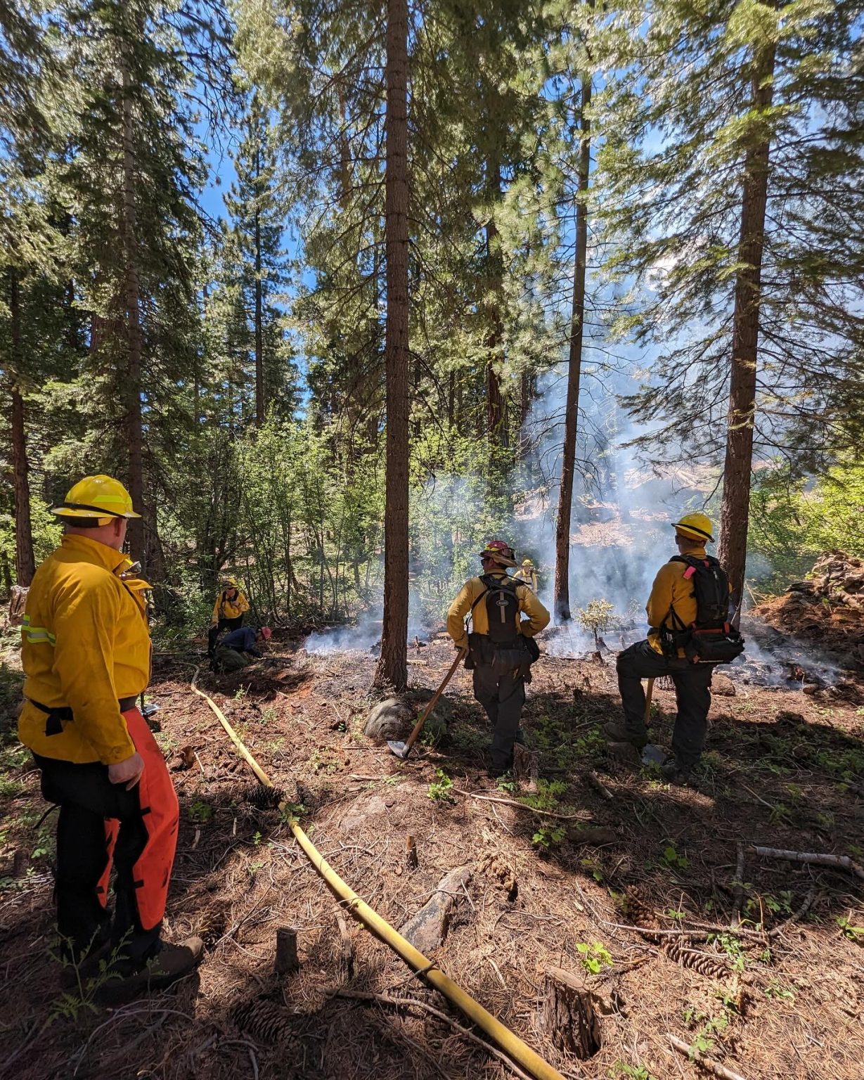 Brush fire extinguished in Kings Beach | SierraSun.com