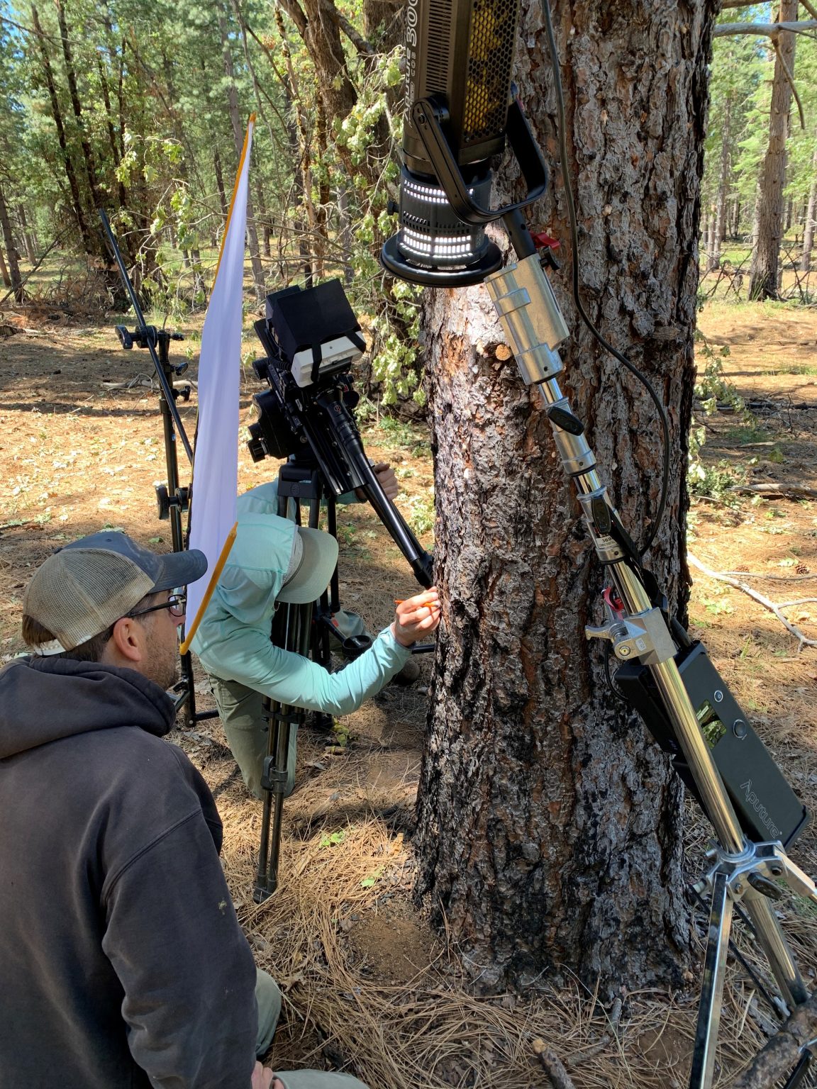 U.S. Forest Service scientists’ work featured in Netflix Documentary ...