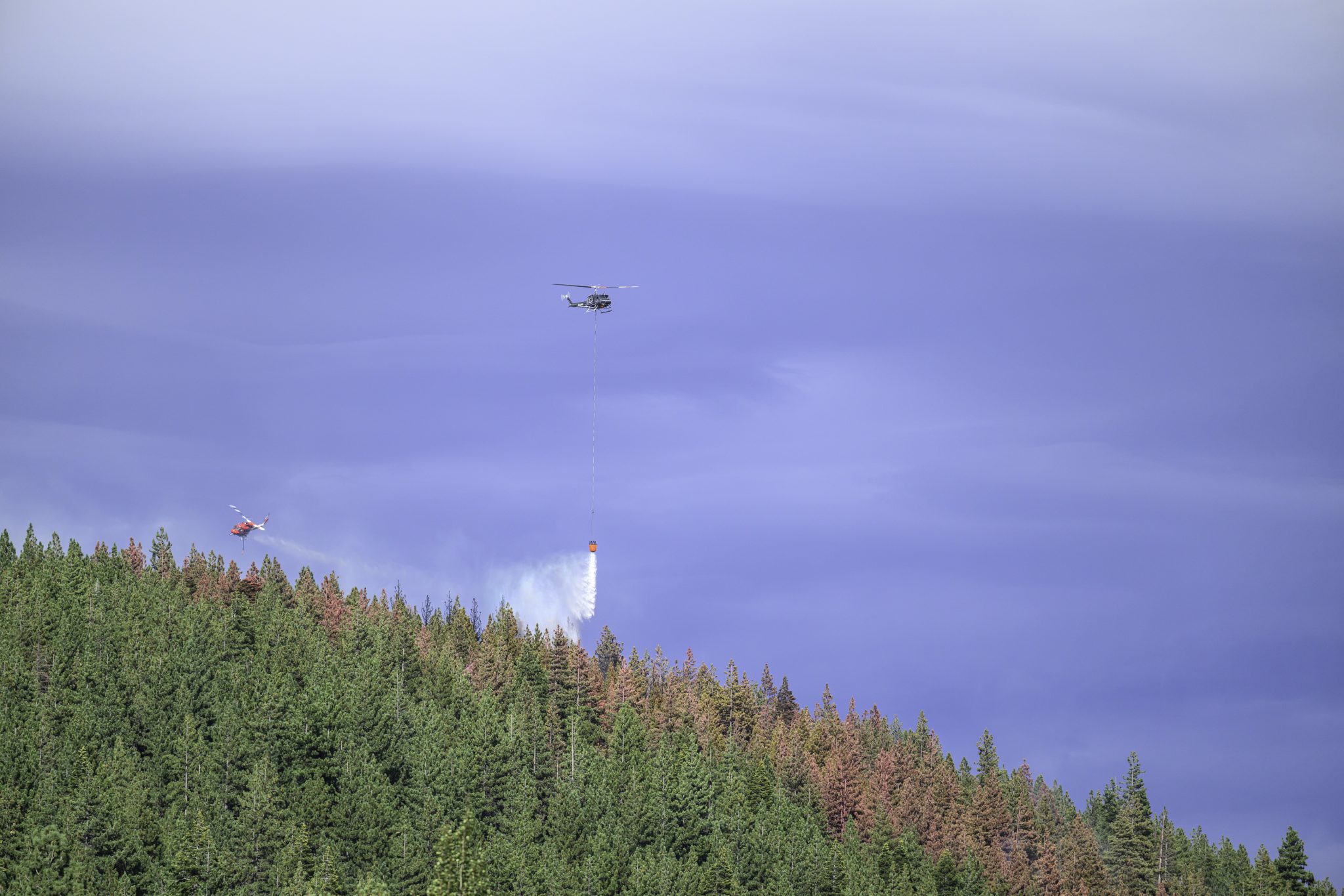 When wildfire strikes: the coordinated effort behind fire response in ...