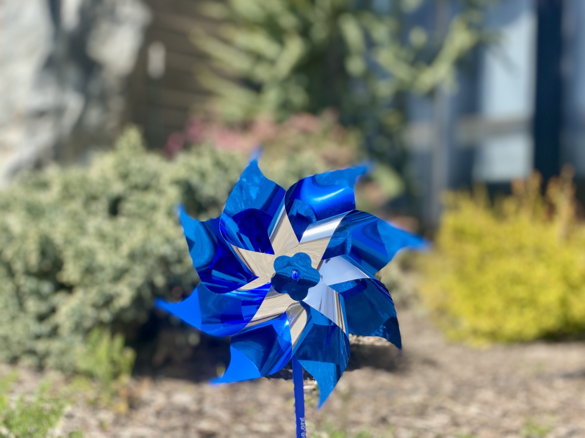 Standing together for child abuse prevention in Nevada County ...