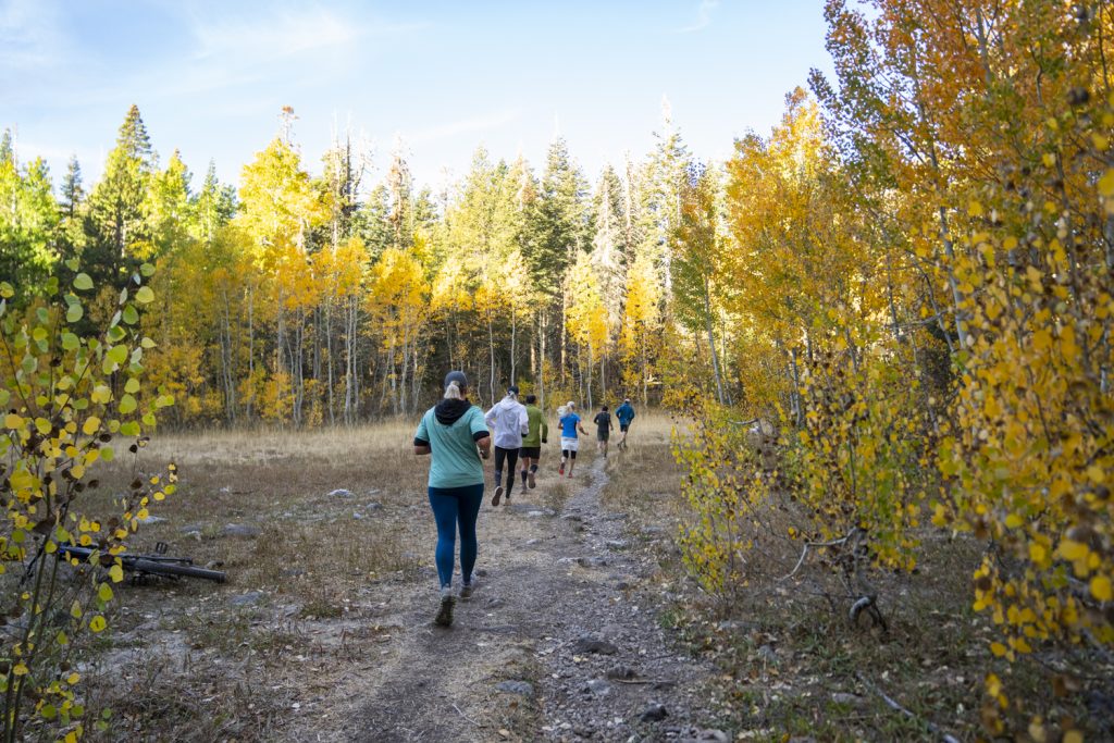 Alpenglow Sports Mountain Running Club announces 2025 schedule ...