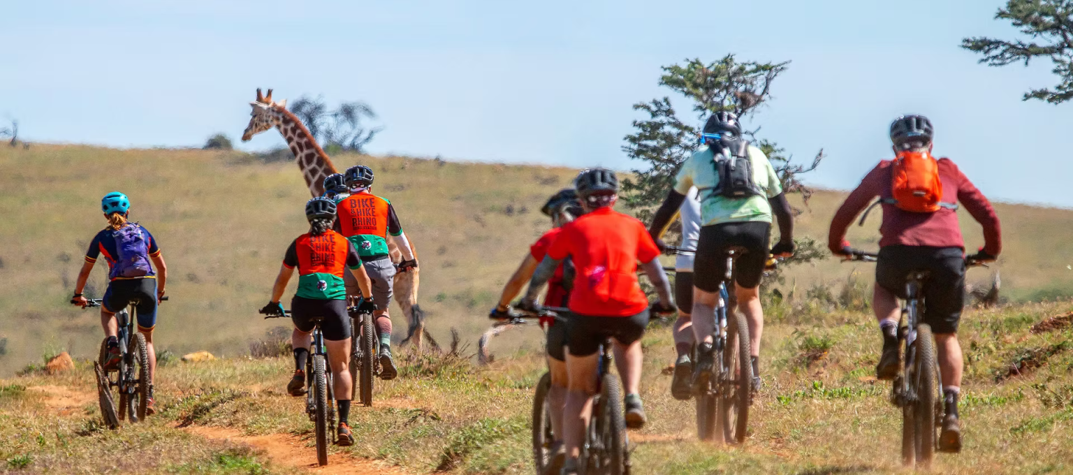 Ride with rhinos or bike in Bulgaria with Mazingira Adventures ...