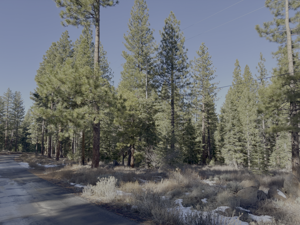 Truckee Fire awards five 2026 Community Wildfire Prevention Grants ...
