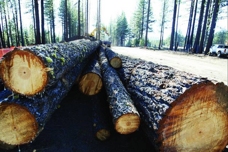 Forest land is being turned into housing | TahoeDailyTribune.com
