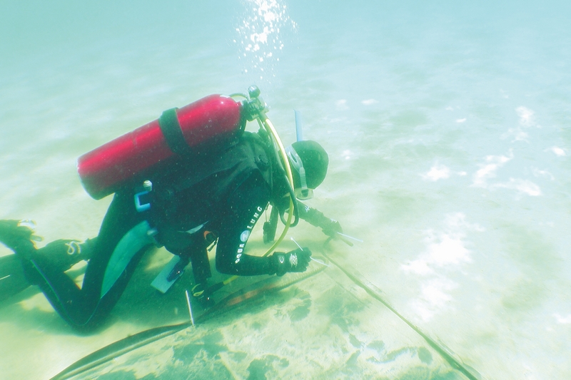 Largest Asian clam control project in Tahoe’s history begins ...
