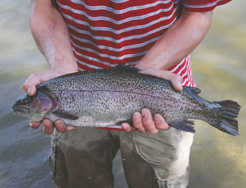 10th annual Kids Fishing Derby to take place at Lake Baron ...