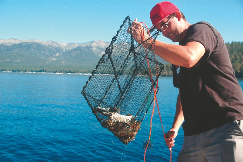 Tahoe Lobster Co. starts putting crawfish on plates | TahoeDailyTribune.com