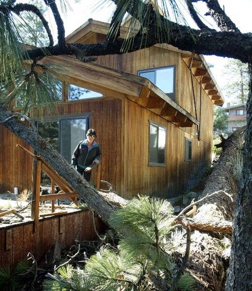 Strong winds uproot trees throughout region | TahoeDailyTribune.com