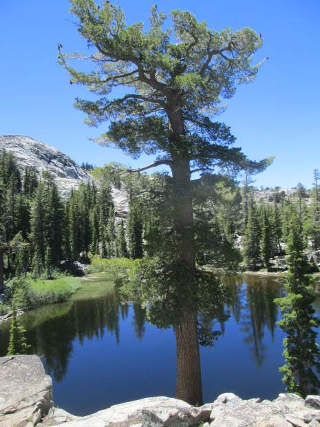 Tahoe Untouched: The Tahoe Triangle | TahoeDailyTribune.com
