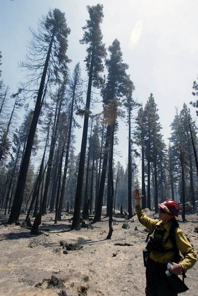 The Angora fire: Where it all began | TahoeDailyTribune.com