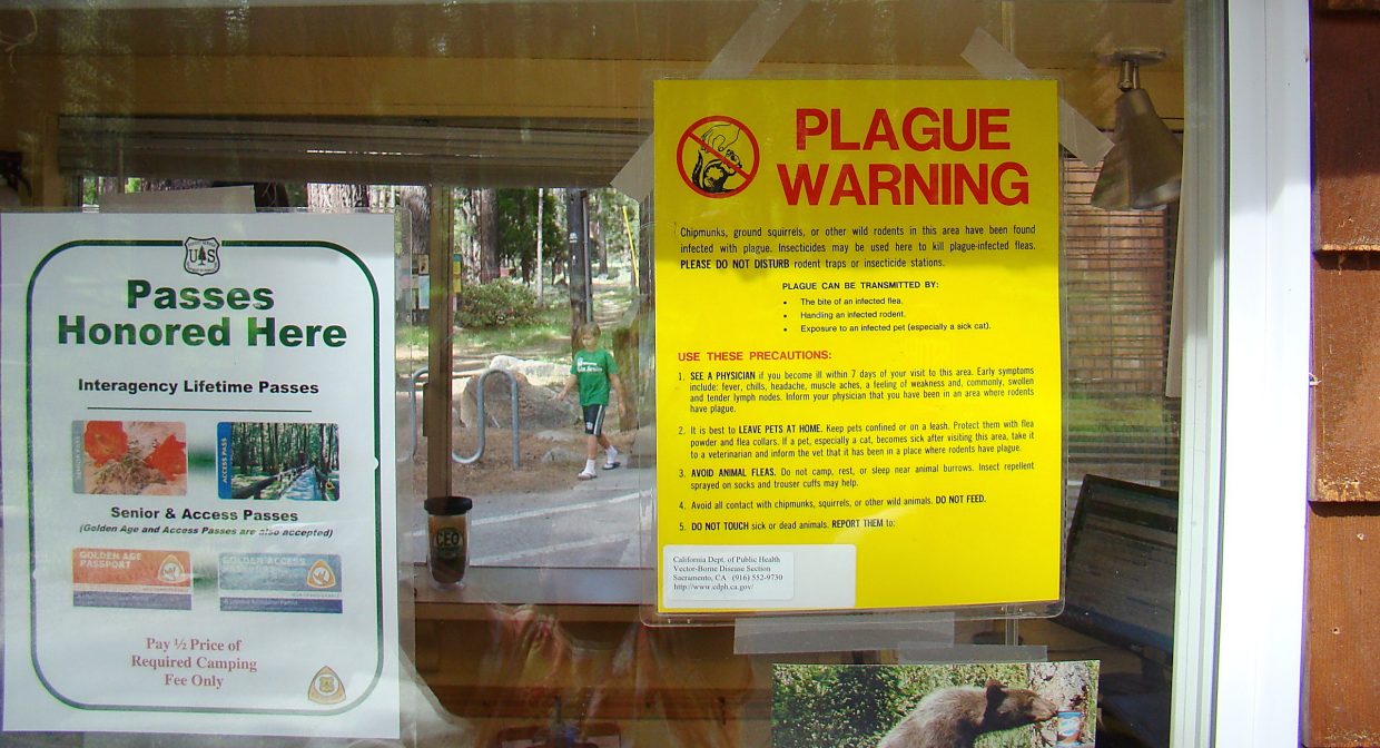 South Shore plague monitoring continues; warning signs to remain up at ...