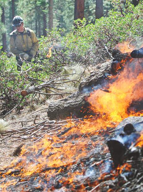 Increase in high-elevation fires prompting change in Sierra Nevada ...