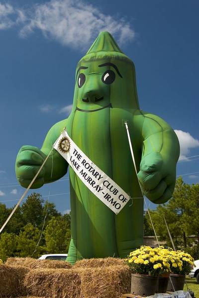 Festival celebrates that misunderstood pod: okra | TahoeDailyTribune.com