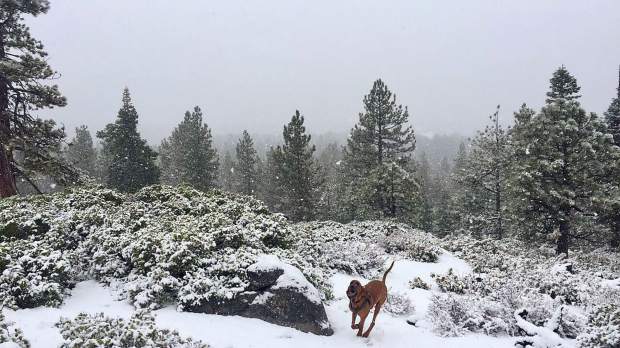 Action Shots: Winter is here | TahoeDailyTribune.com