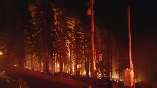 Forest Service seeking comments for Emerald Fire restoration ...