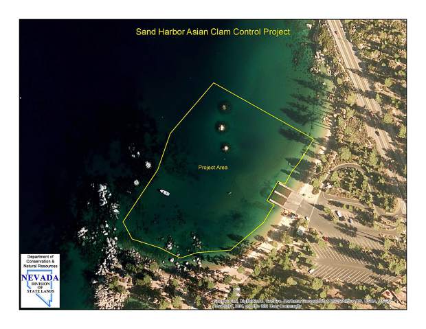 Asian clam control implemented at Lake Tahoe’s Sand Harbor ...