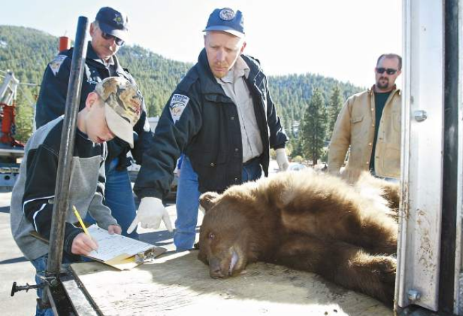 Tahoe wildlife activist sues, claims Nevada Department of Wildlife ...
