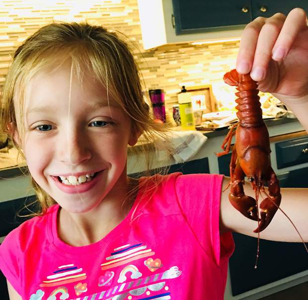 Family makes meal out of crawdads caught at Lake Tahoe ...