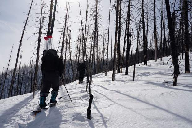 Study shows forest fires accelerating snowmelt across western US ...