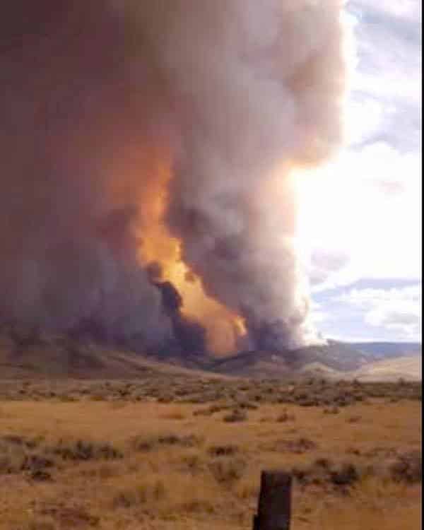 Lake Tahoe brush trucks, personnel sent to help fight Loyalton Fire ...