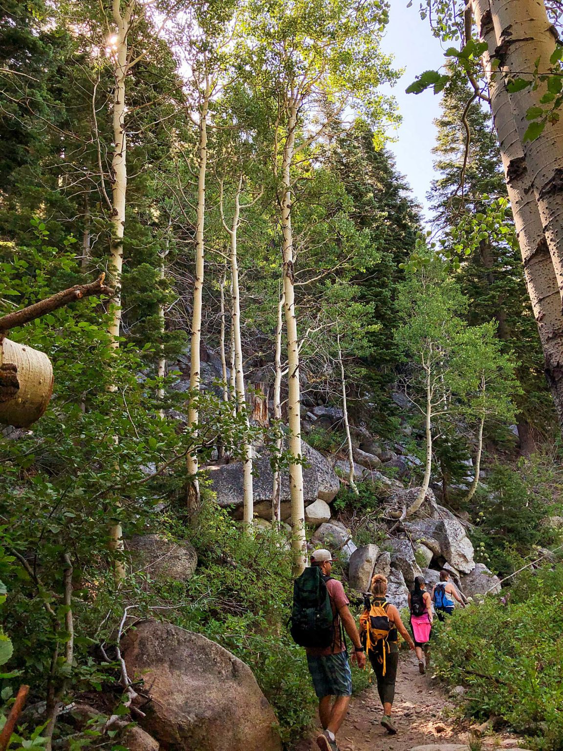 Resort to lead guided hike to Mount Rose summit | TahoeDailyTribune.com