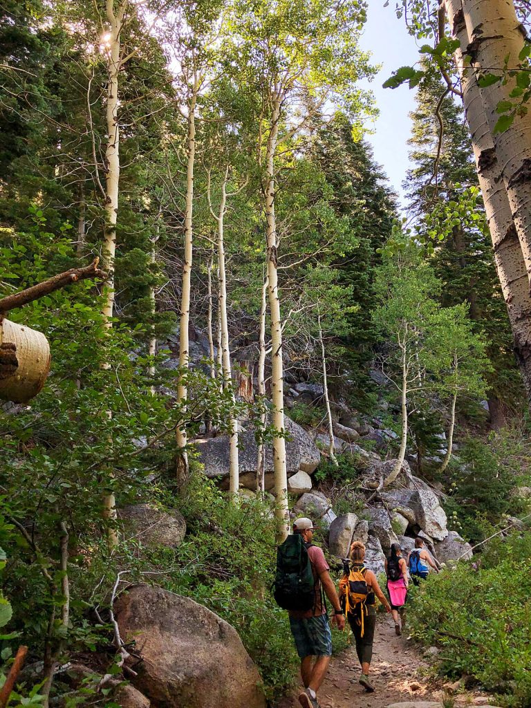 Resort to lead guided hike to Mount Rose summit | TahoeDailyTribune.com