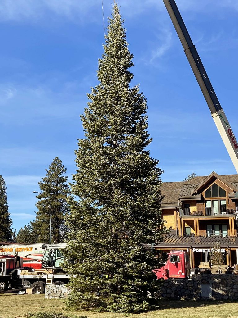 60 foot Christmas tree installed in South Lake Tahoe ...