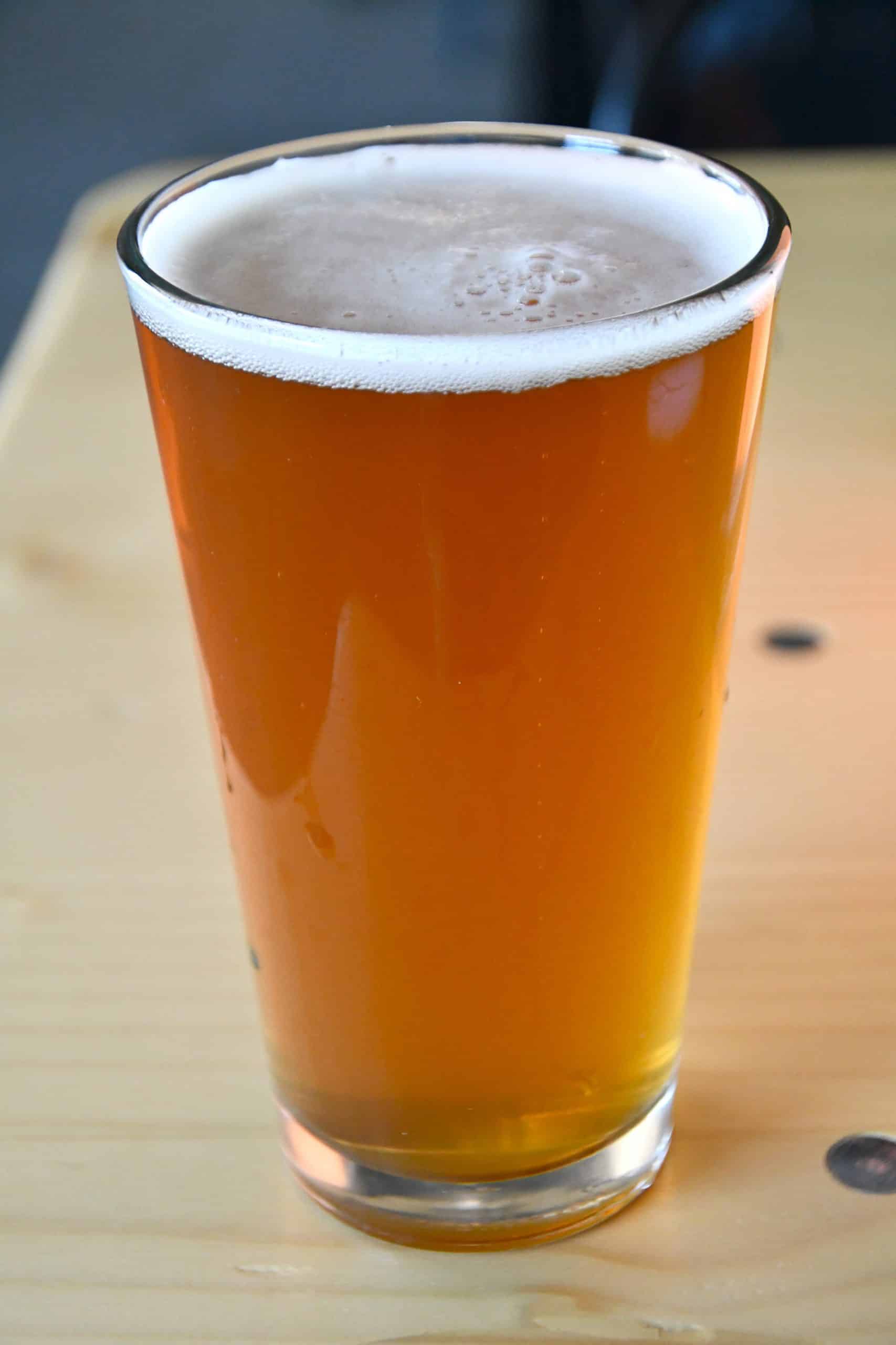 Drink of the Week: South of North’s Lost in the Pines IPA ...