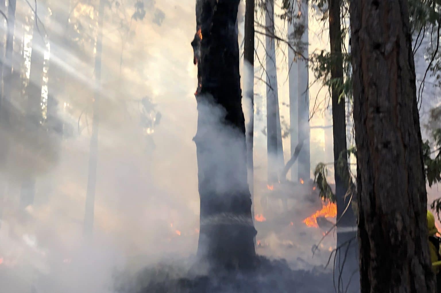 Emerald Fire caused by illegal campfire in state park ...