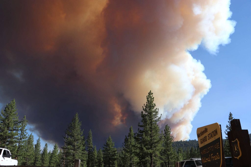Tamarack Fire at 6,600 acres, 0% contained; Highways 4, 89 closed in ...
