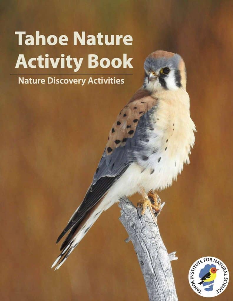 Tahoe science institute releases new nature activity book ...