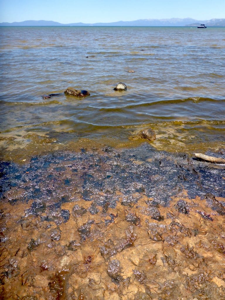 New citizen group aims to combat algae in Lake Tahoe ...