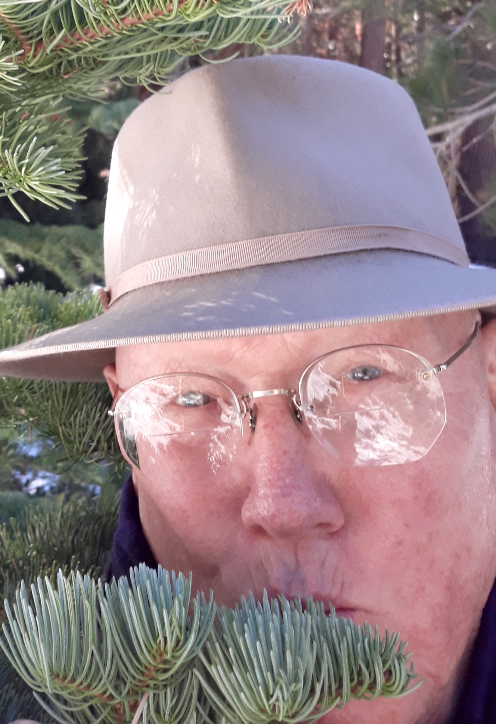 North Shore watershed dangers (Opinion) | TahoeDailyTribune.com