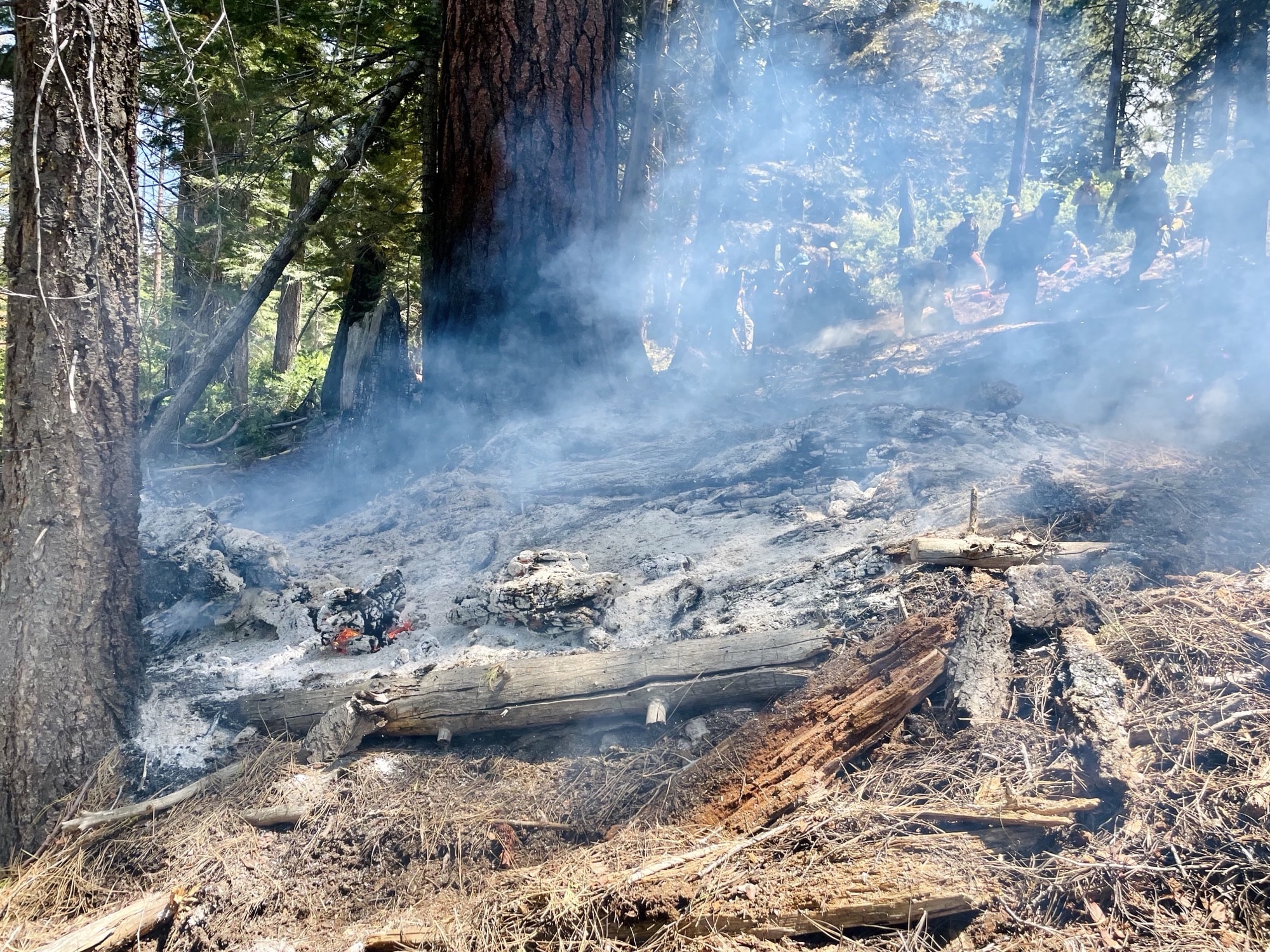 Firefighters quickly extinguish blaze near Fallen Leaf Lake ...