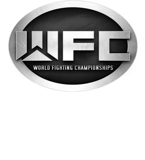 Action in Tahoe: Dierks Bentley at Lake Tahoe Outdoor Arena; WFC ...