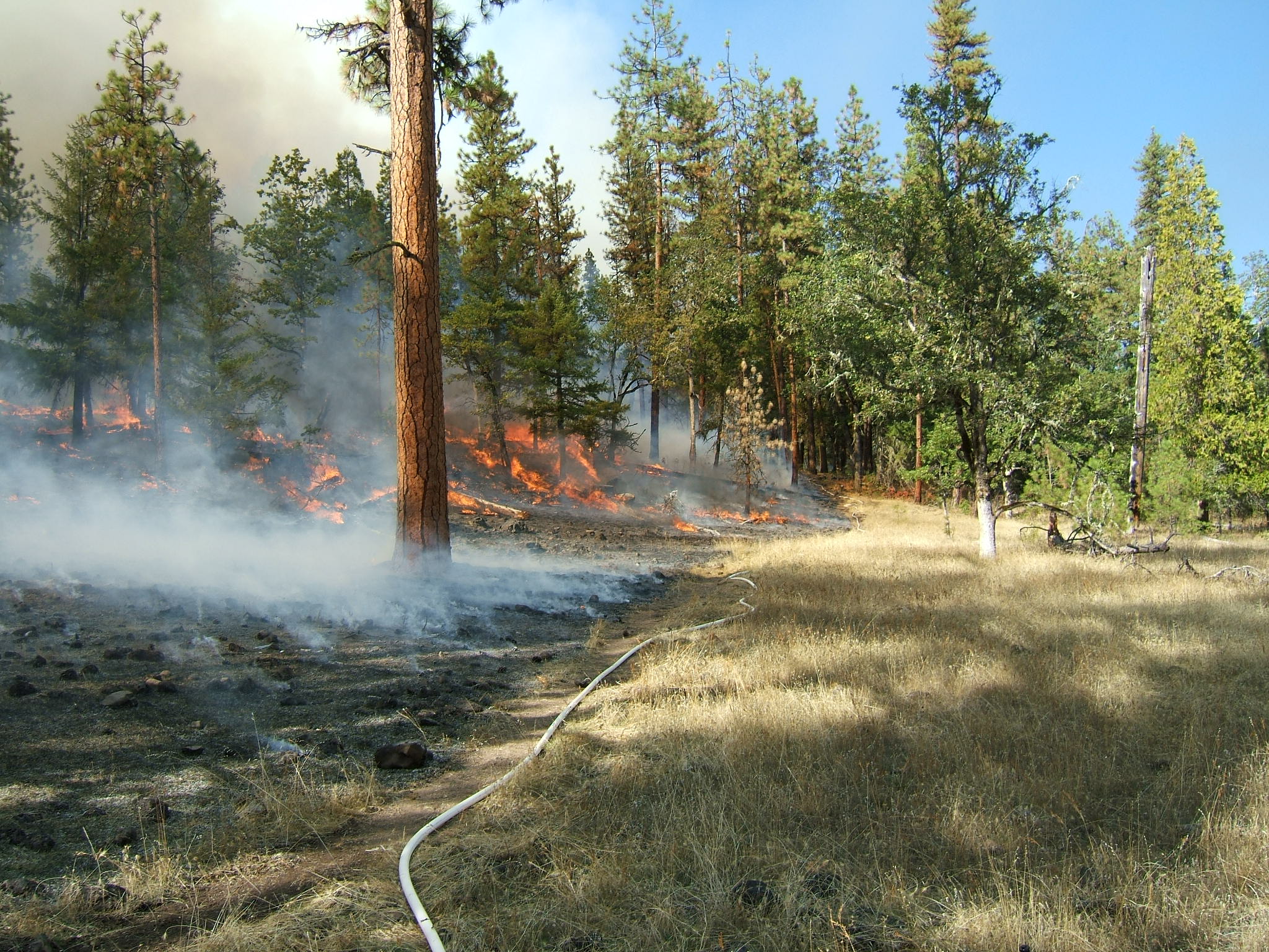 Bureau of Land Management announces ambitious approach to reduce ...