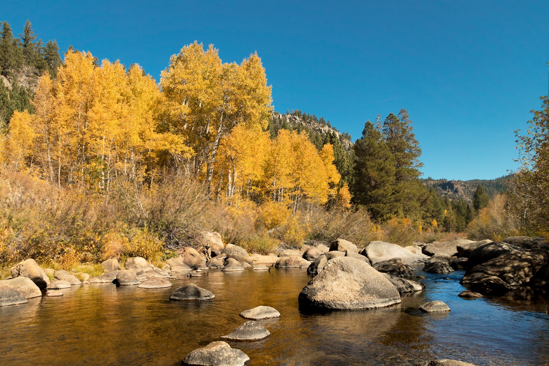 Fall colors road trip: Hope Valley | TahoeDailyTribune.com