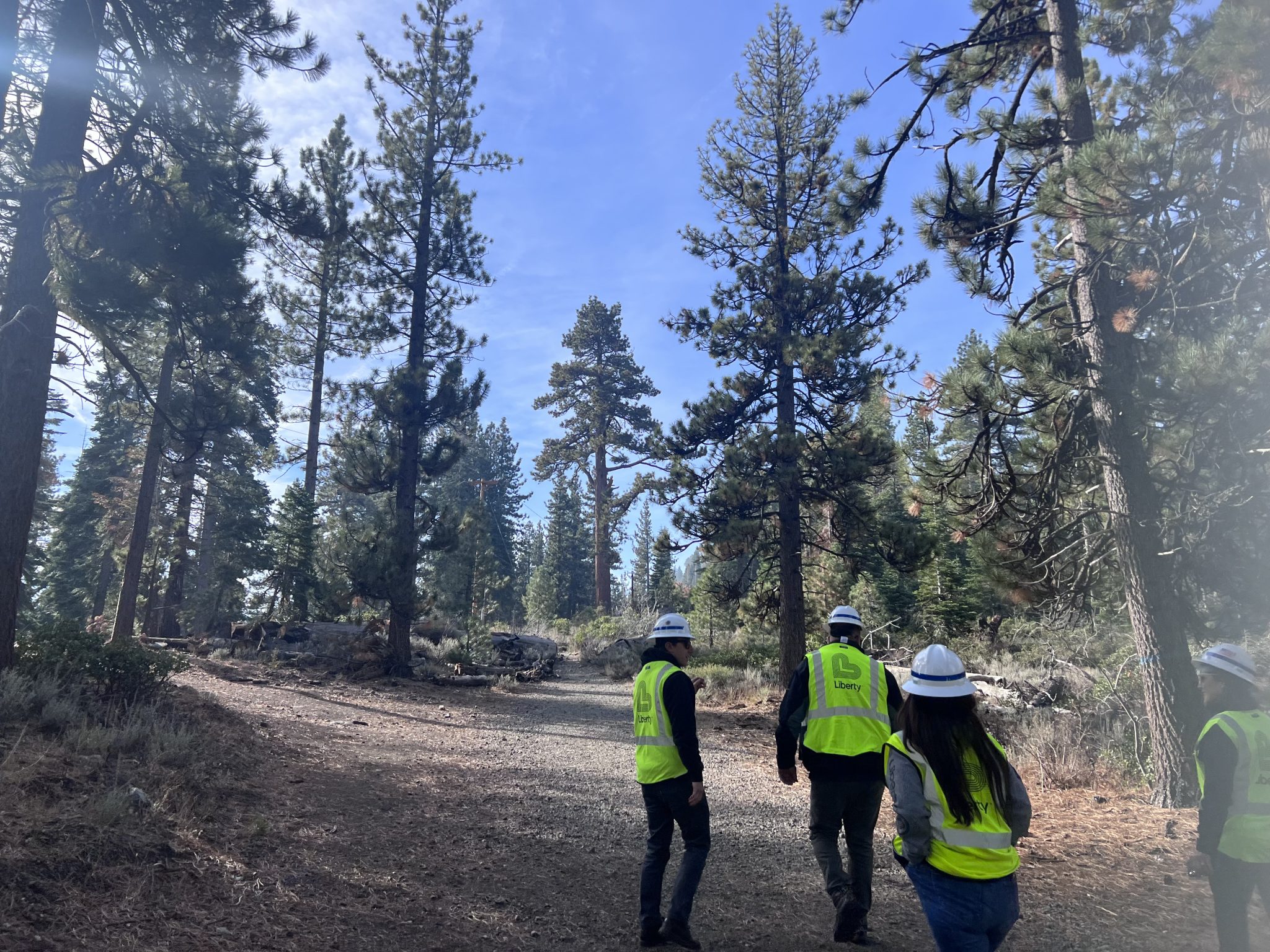 Liberty Utilities working to prevent wildfires through multiple ...