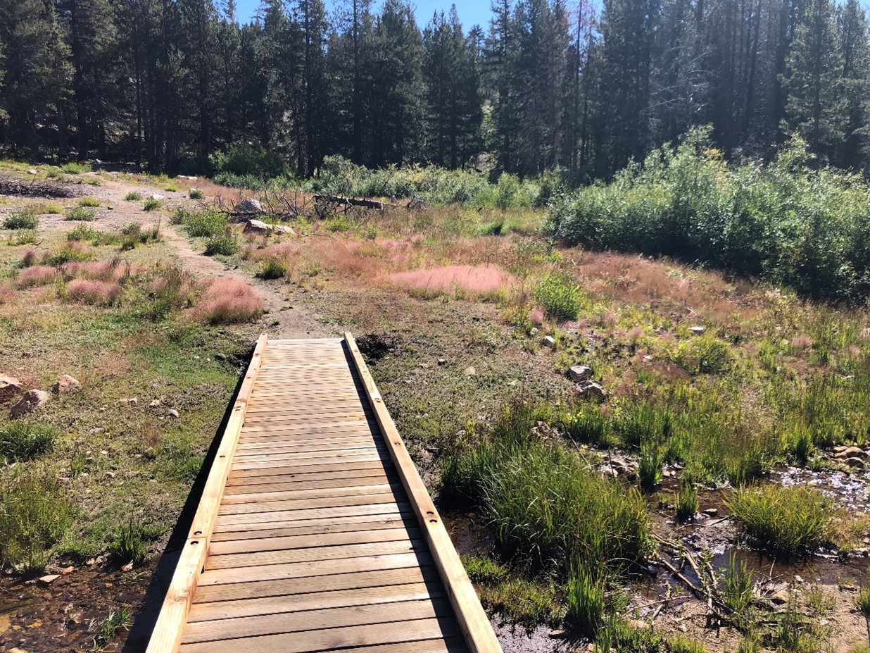 Forest Service wraps up restoration work at Incline Meadow for winter ...