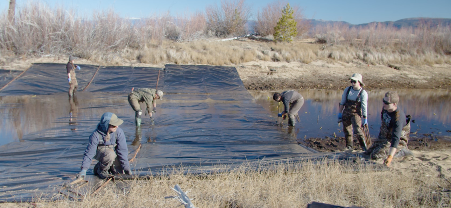 Rare funding helps Tahoe partners turn the tide against aquatic ...