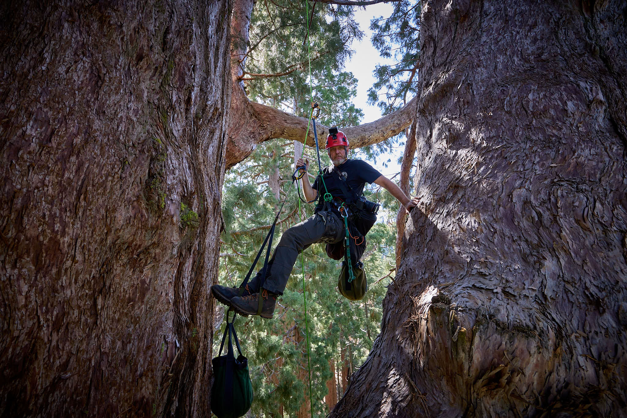 South Tahoe based science group is first to climb the largest tree in ...