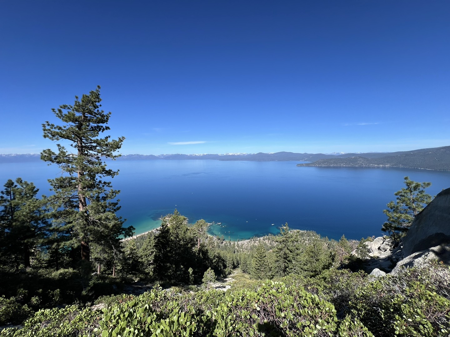 Oversight committee focuses on evacuations and forest health ...