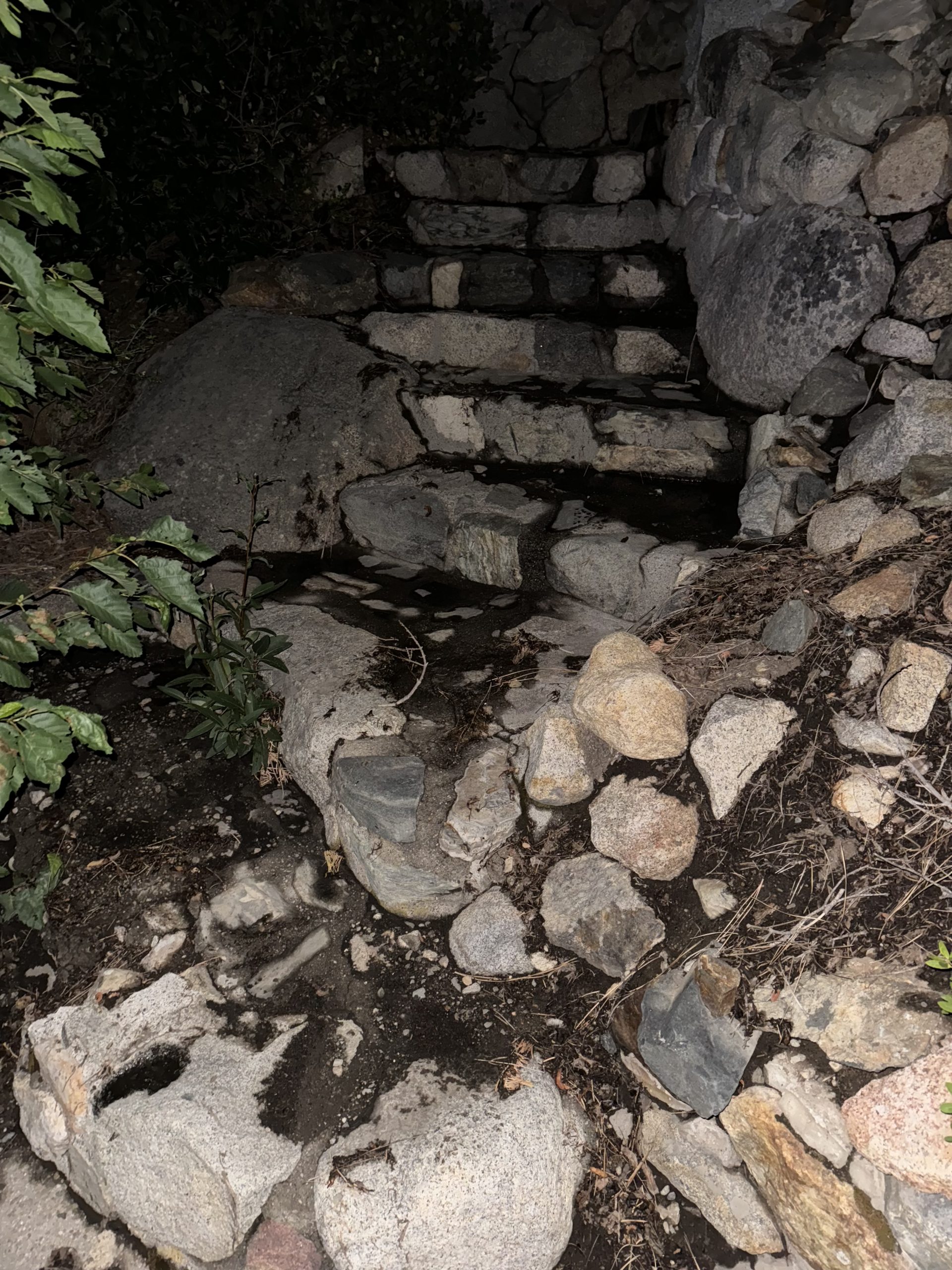 Water quality results back to baseline after sewer spill at Fallen Leaf ...