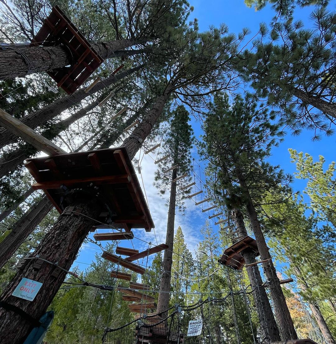 Adrenaline amongst the trees | TahoeDailyTribune.com