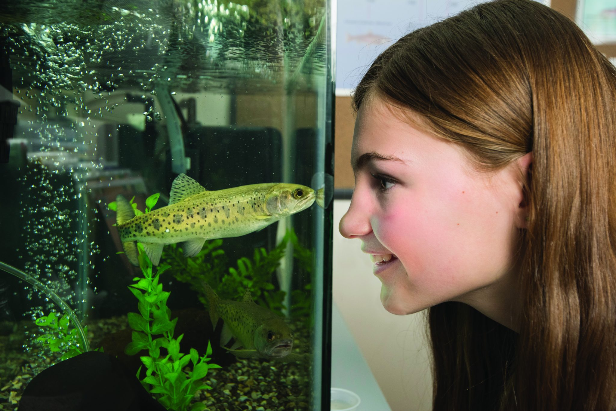 Explore more: Get kids engaged in science through a love of Lake Tahoe ...