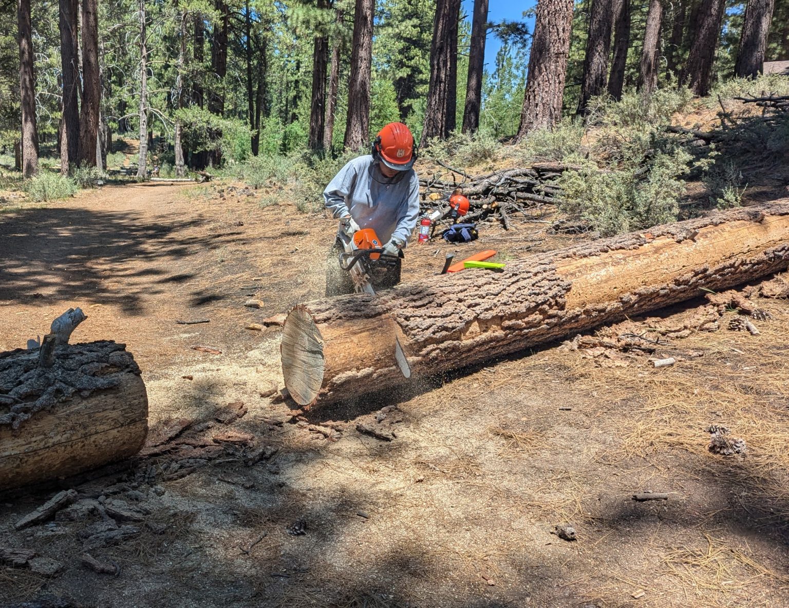 Tahoe Fund launches campaign to raise $50,000 for students in Lake Tahoe Community College’s ...