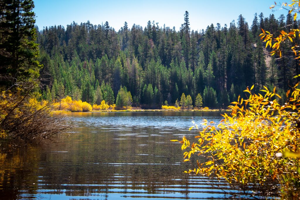Trail closures at Spooner Lake State Park backcountry for Marlette Dam ...