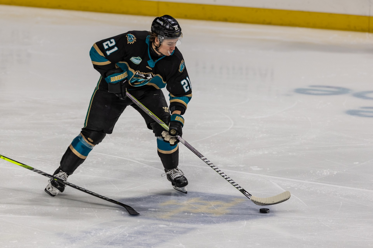 Sloan Stanick named ECHL Rookie of the Year | TahoeDailyTribune.com
