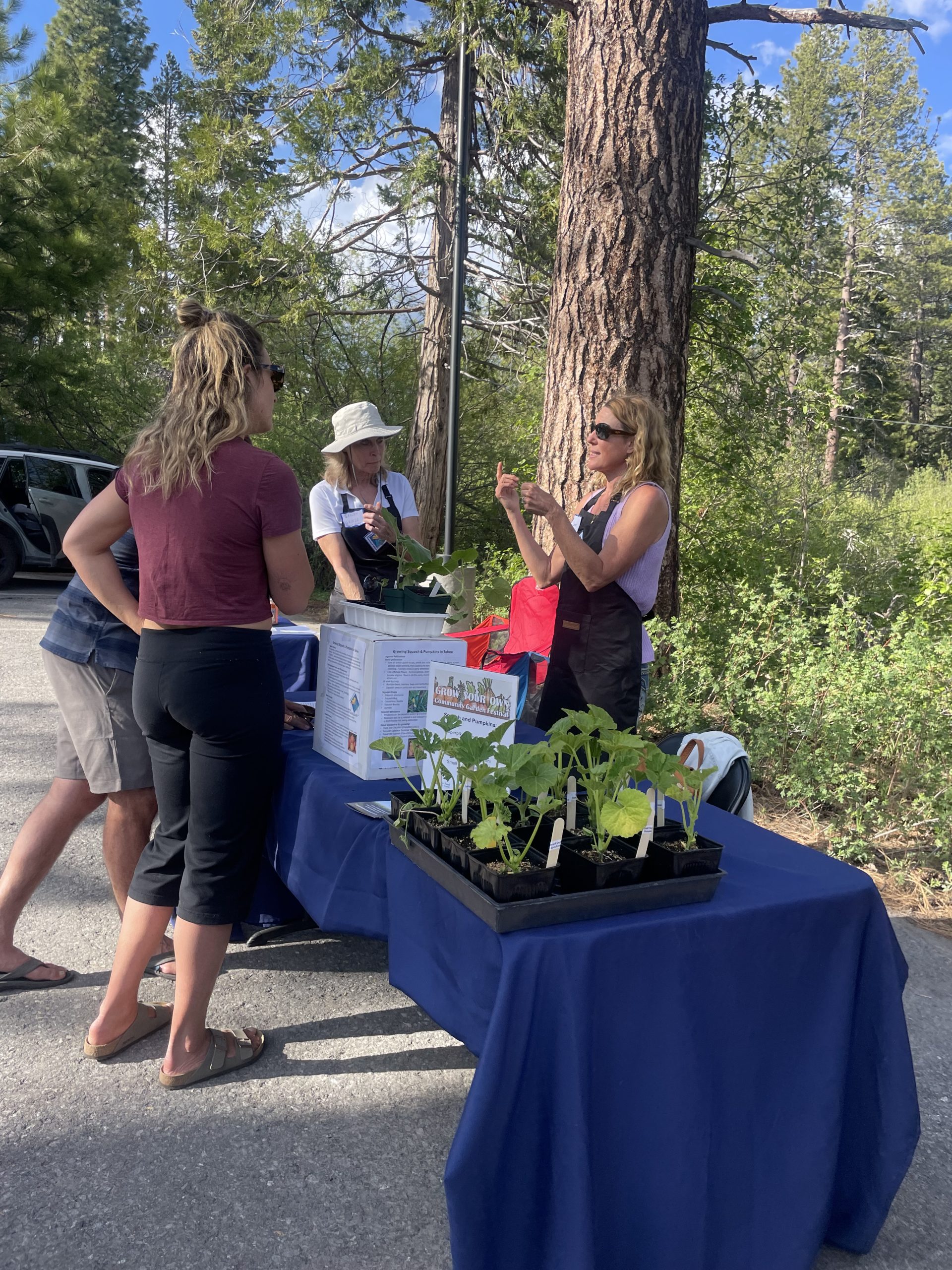 Learn to “Grow Your Own” in Tahoe: UC Davis Hosts Gardening Workshops ...