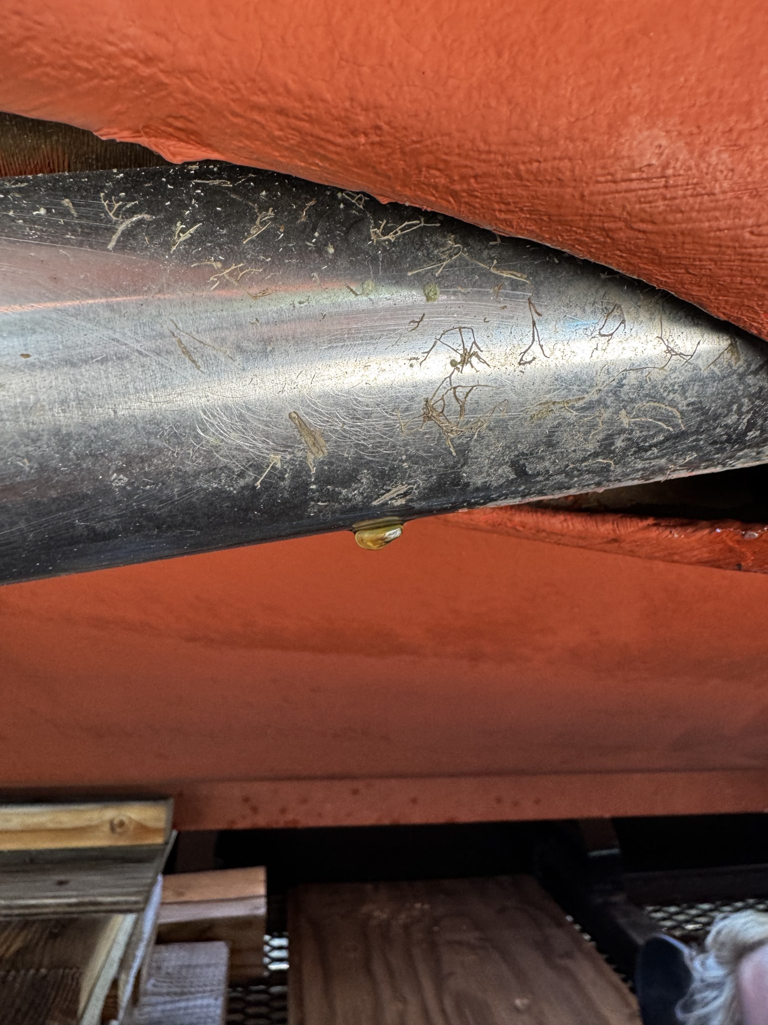 Lake Tahoe inspectors intercept vessel with Golden Mussels ...